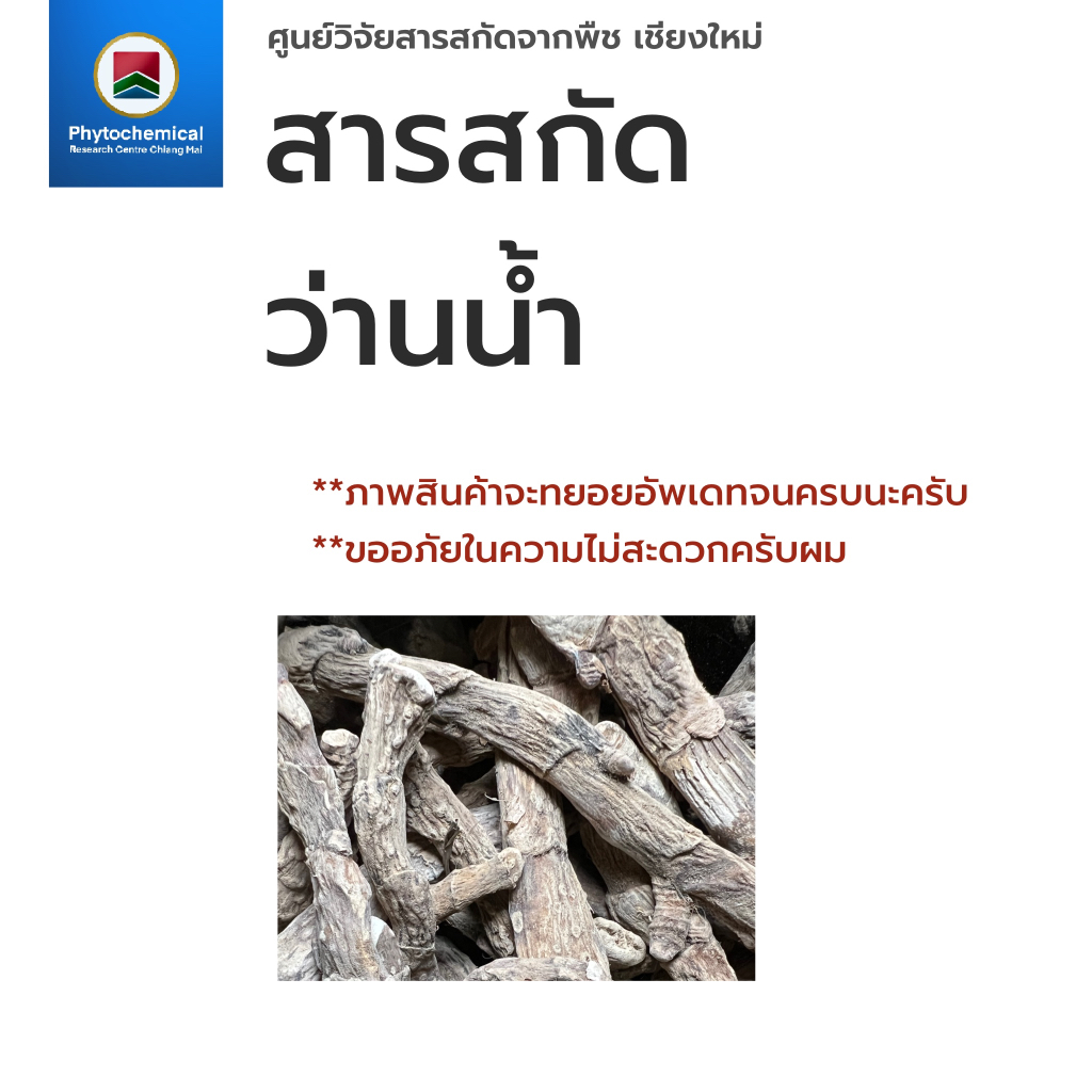 สารสกัดว่านน้ำ(แบบน้ำ) Mytle Grass root extract | สารสกัดจากพืช สารสกัด ...