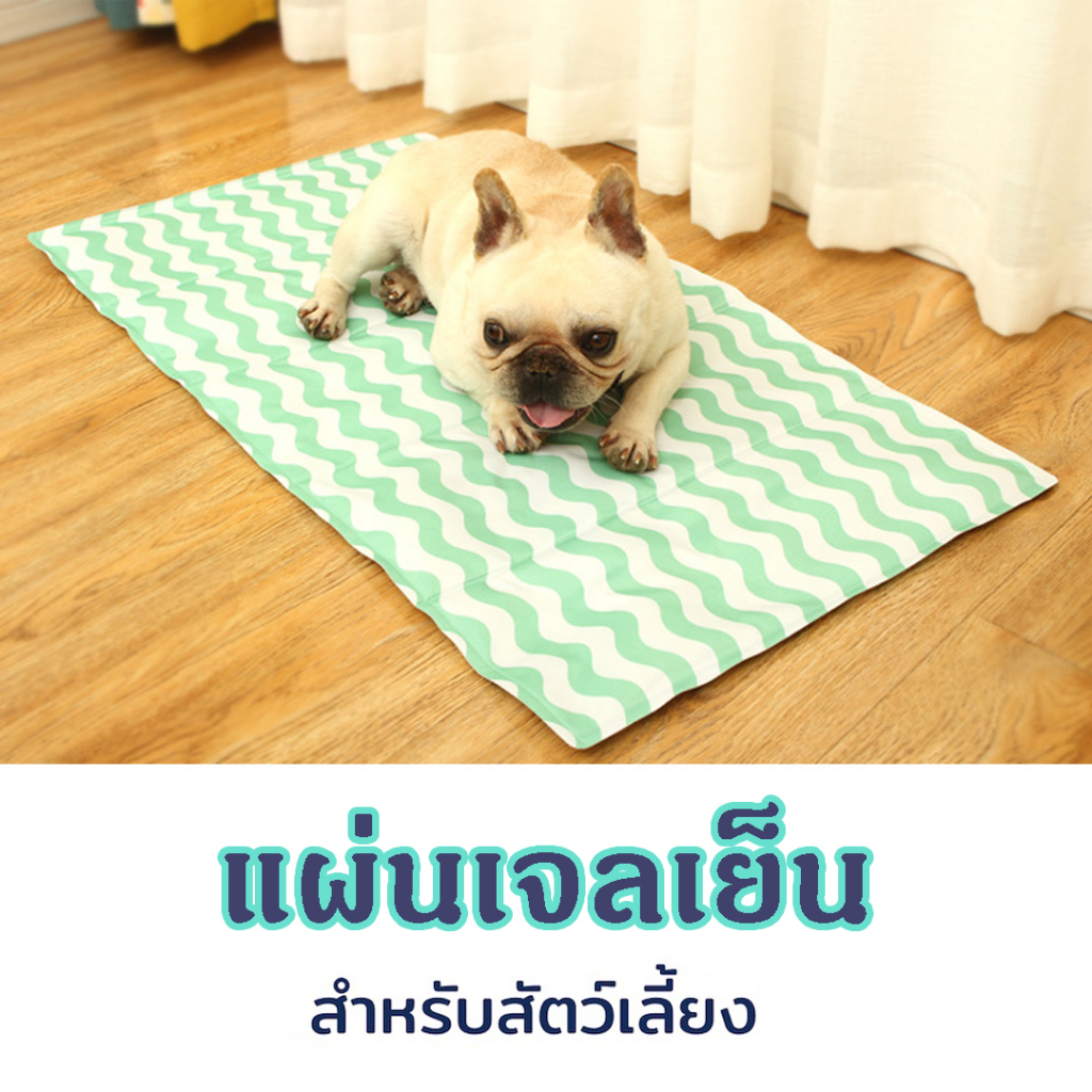Rareitem4 เบาะเจลเย็นสำหรับน้องหมา น้องแมว ลดความร้อน 40x50 ซม. | Shopee Thailand