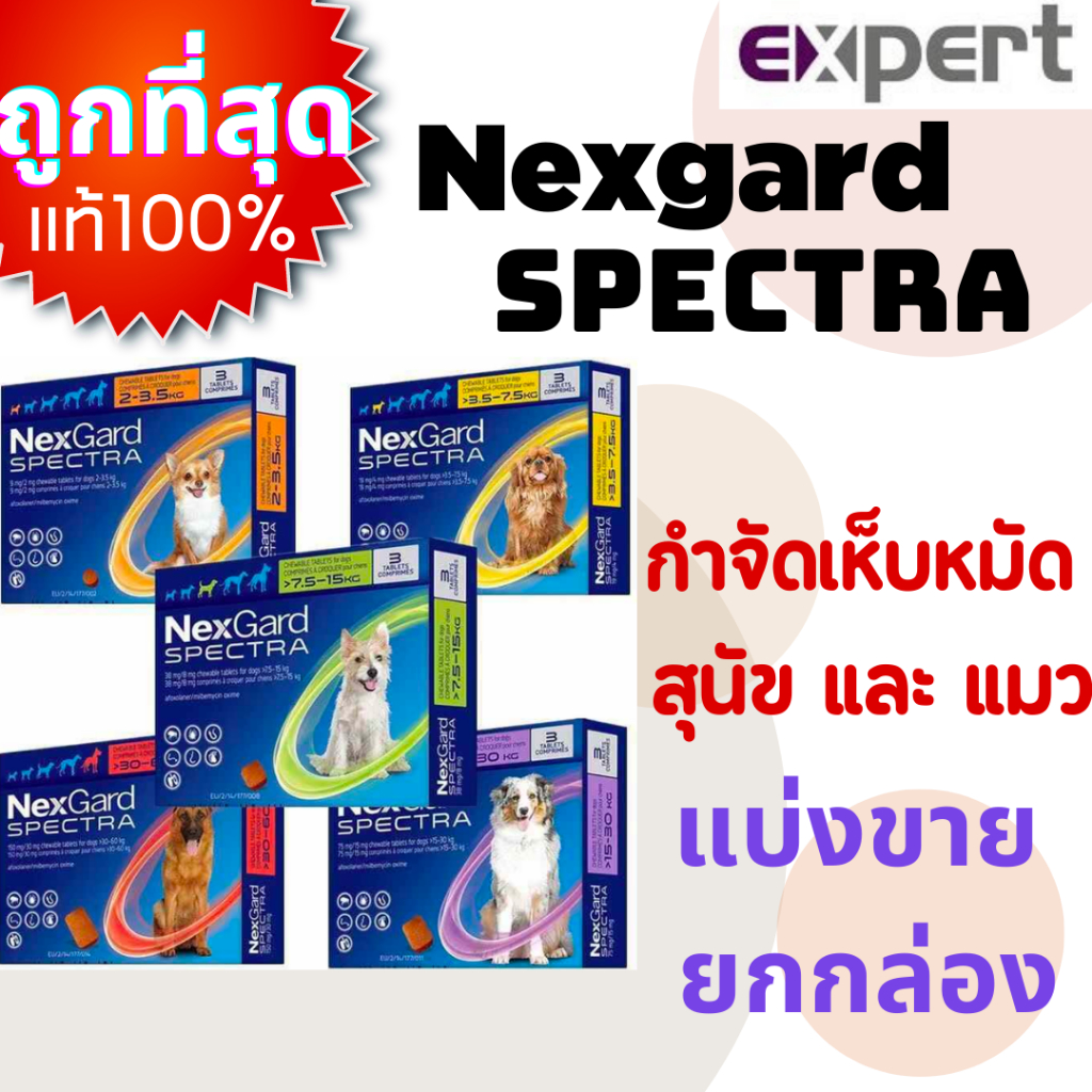 ขนมnexguardกล่อง เนก การ์ดเม็ด | Shopee Thailand