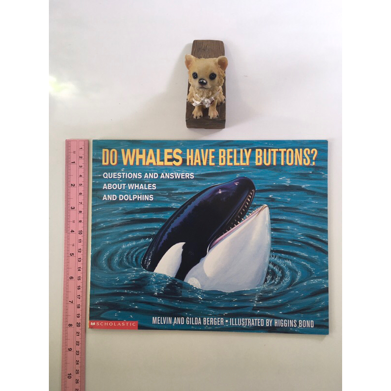 Do whales have belly buttons หนังสือภาษาอังกฤษมือสองปกอ่อน | Shopee ...