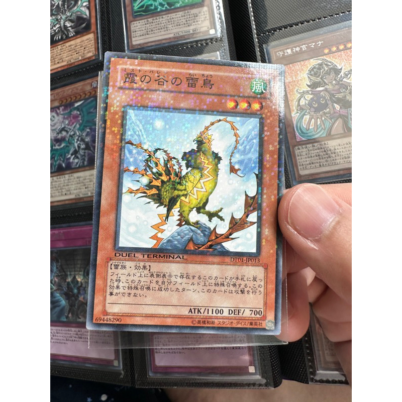 DT01-JP013 -Mist Valley Thunderbird - DT Common (นอมอลเคลือบ) | Shopee Thailand