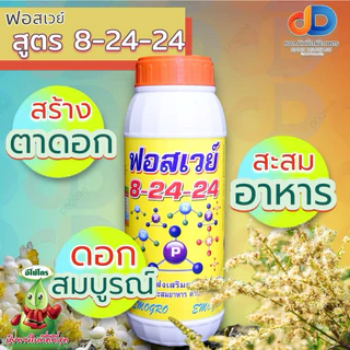 ปุ๋ย 8 24 24 ราคาพิเศษ | ซื้อออนไลน์ที่ Shopee ส่งฟรี*ทั่วไทย!