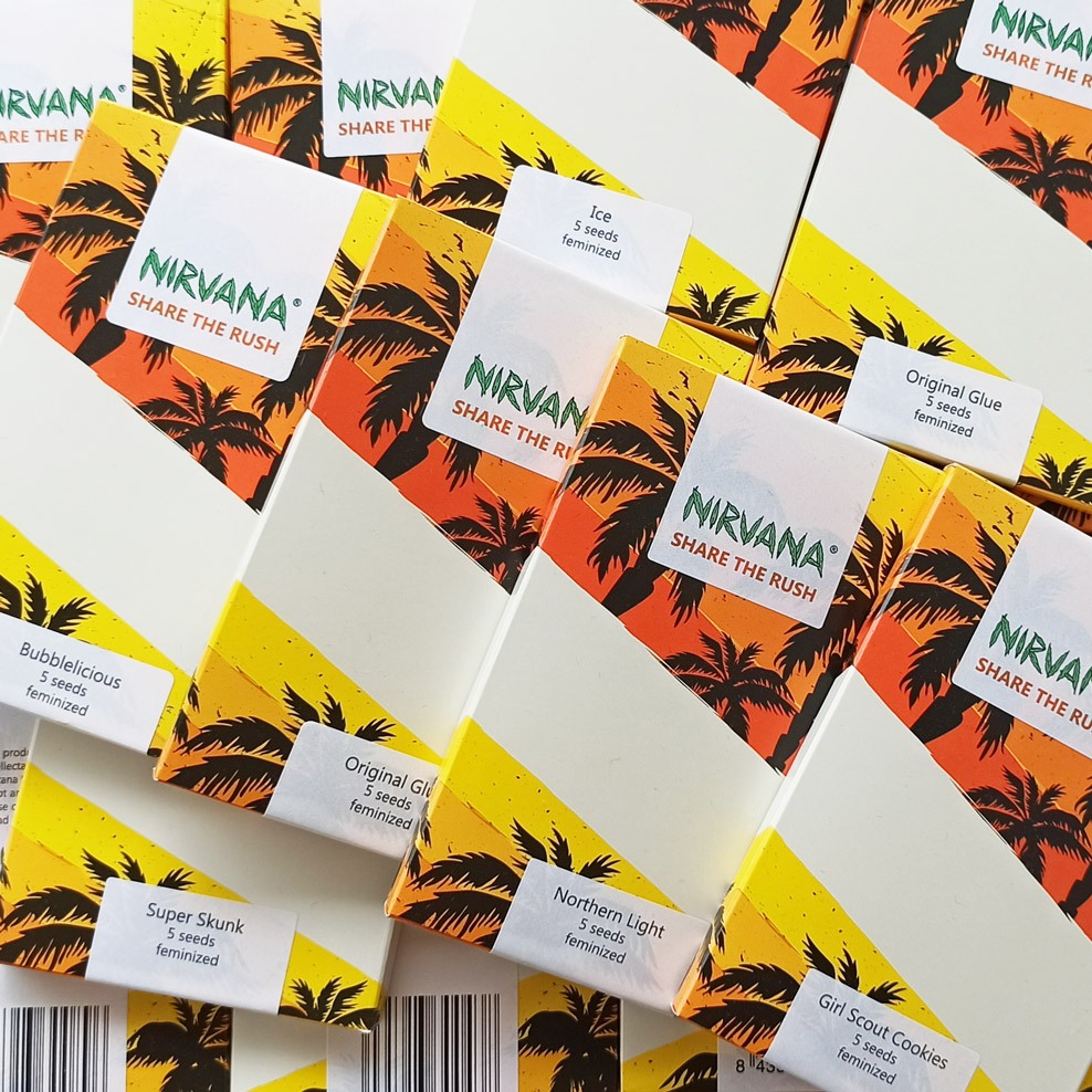 Nirvana seeds cannabis feminized photoperiod เมล็ดกัญชา 5 seeds ...