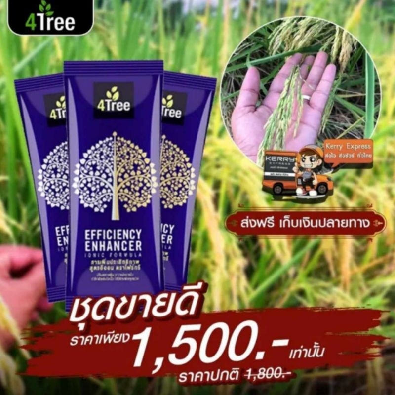 โฟร์ ทรี 4Tree (3ซอง) อาหารเสริมพืช เร่งราก โตเร็ว ลดต้นทุน เพิ่มผลผลิต ปรับปรุง ดิน ของแท้ ...