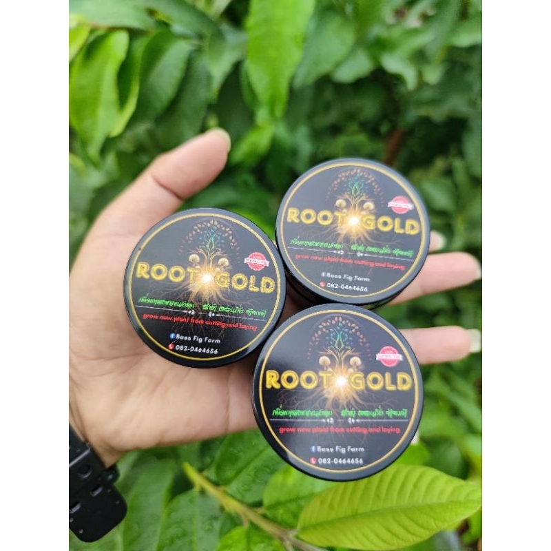 ฮอร์โมนเร่งราก รูทโกลด์💥 Root Gold 💥 | Shopee Thailand