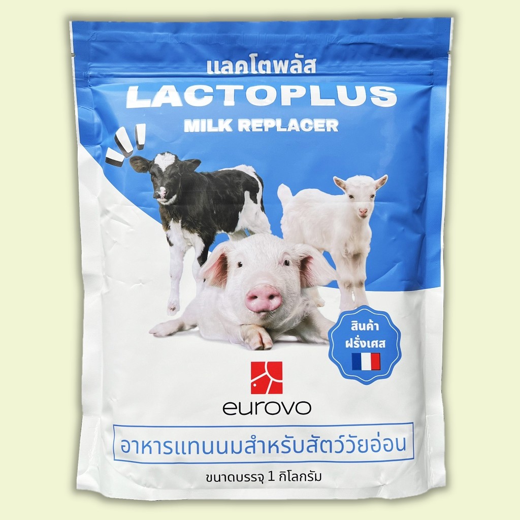 Lactoplus นมผงสำหรับสัตว์แรกเกิด 3 วัน นมผงลูกวัว ลูกหมู ลูกแพะ นมผม ...