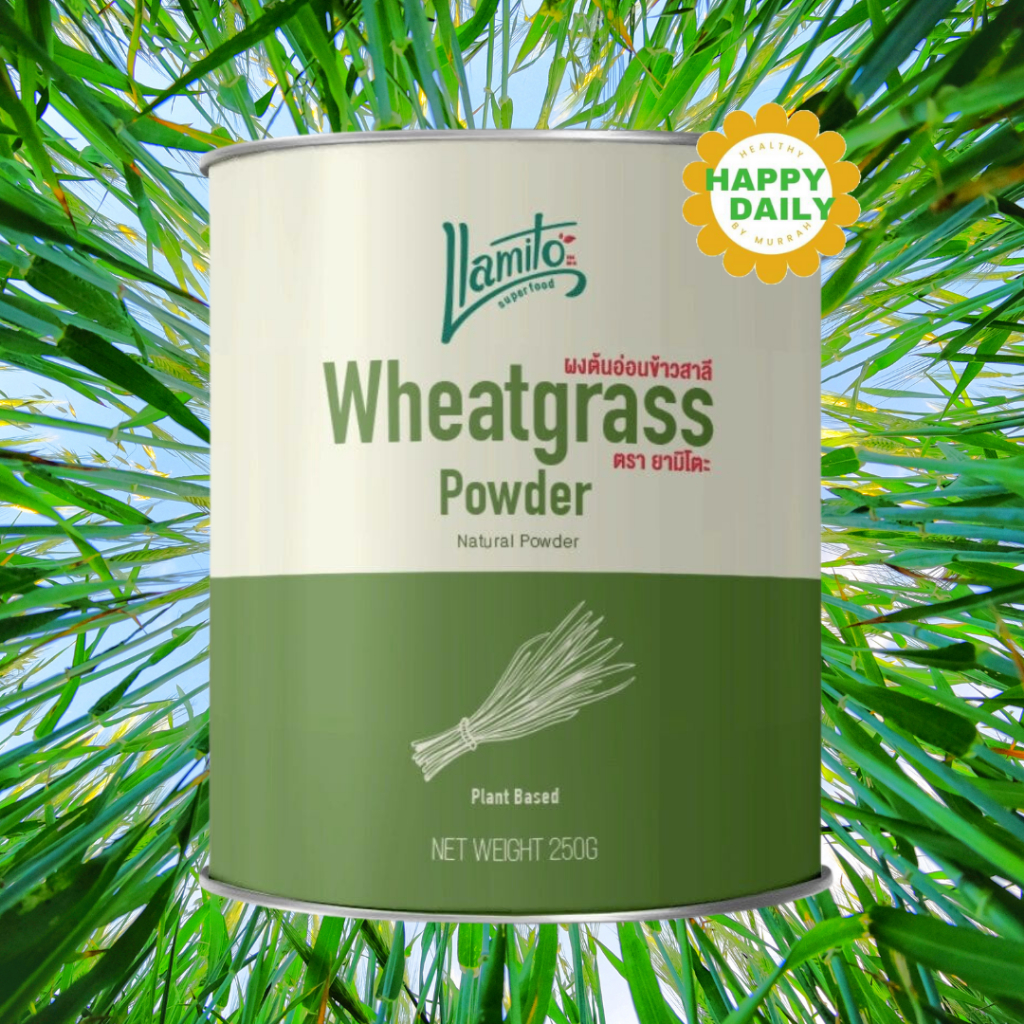 ผงต้นอ่อนข้าวสาลี (Wheat Grass Powder By Llamito ) 250 g. | Shopee Thailand