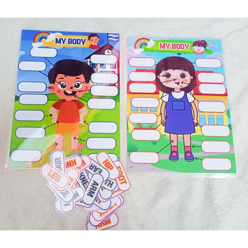 สื่อการสอนภาษาอังกฤษ my body ติดตีนตุ๊กแก | Shopee Thailand