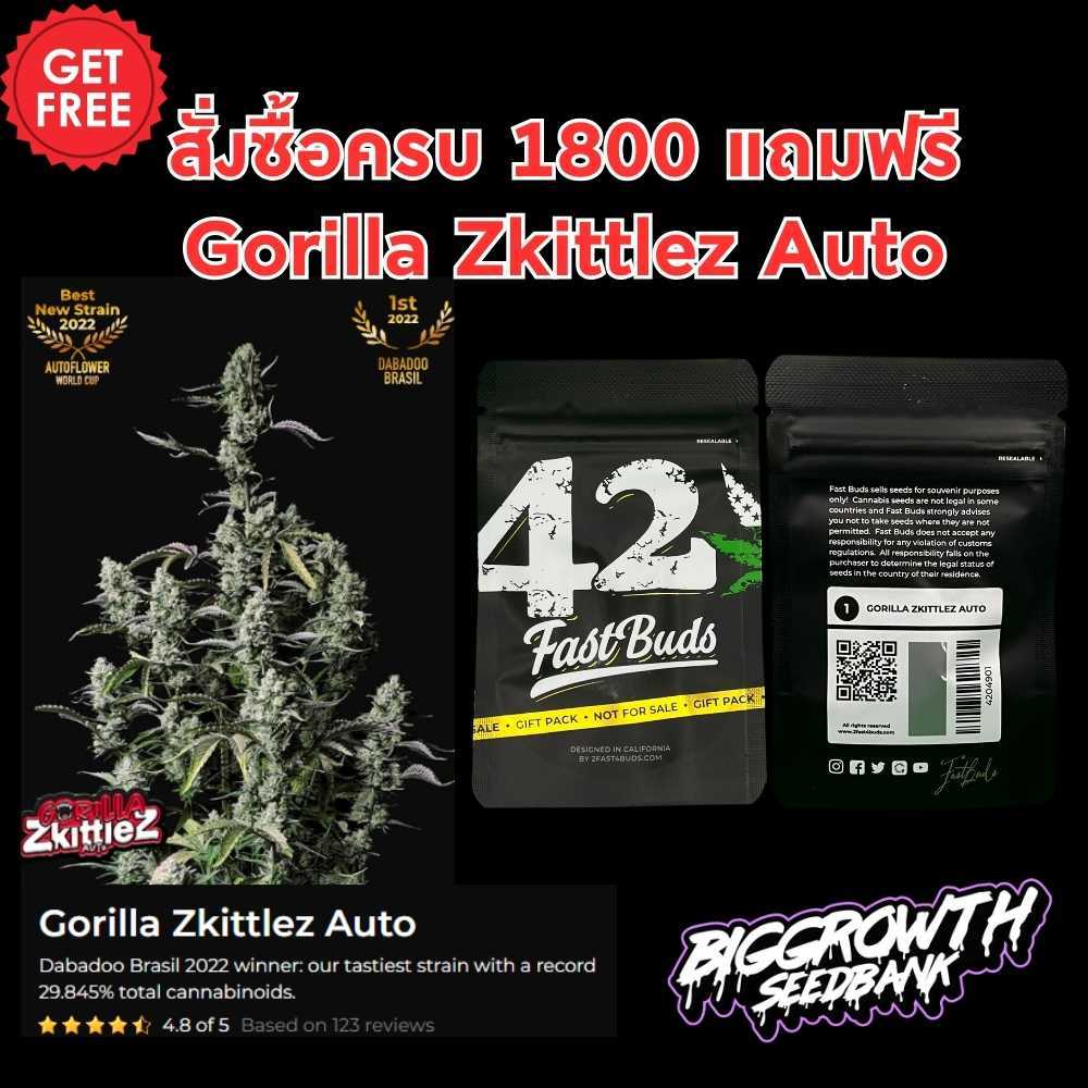 Fastbuds Gift Pack - Not For Sale | Shopee Thailand