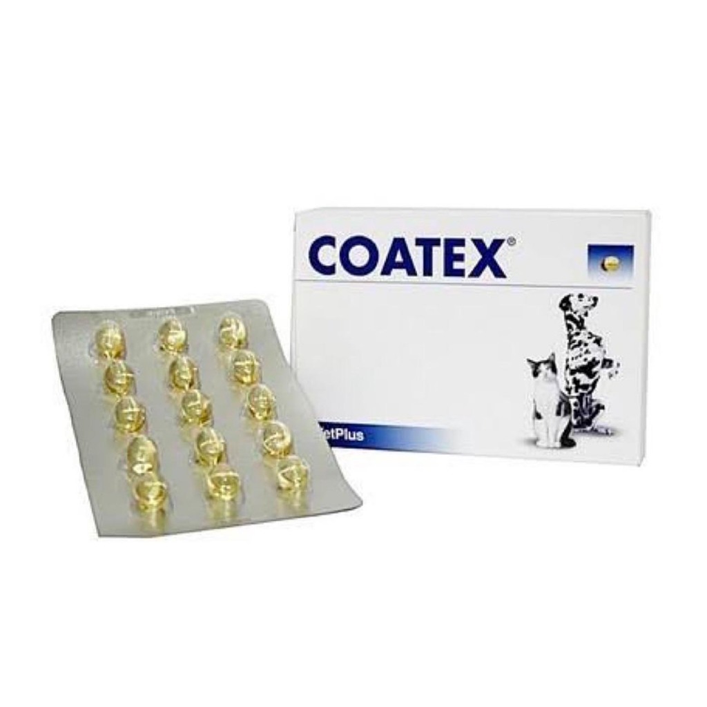 Coatex 🔥ล็อตใหม่ Exp.1/8/2025 วิตามิน บำรุงขนและผิวหนัง สุนัข แมว ...