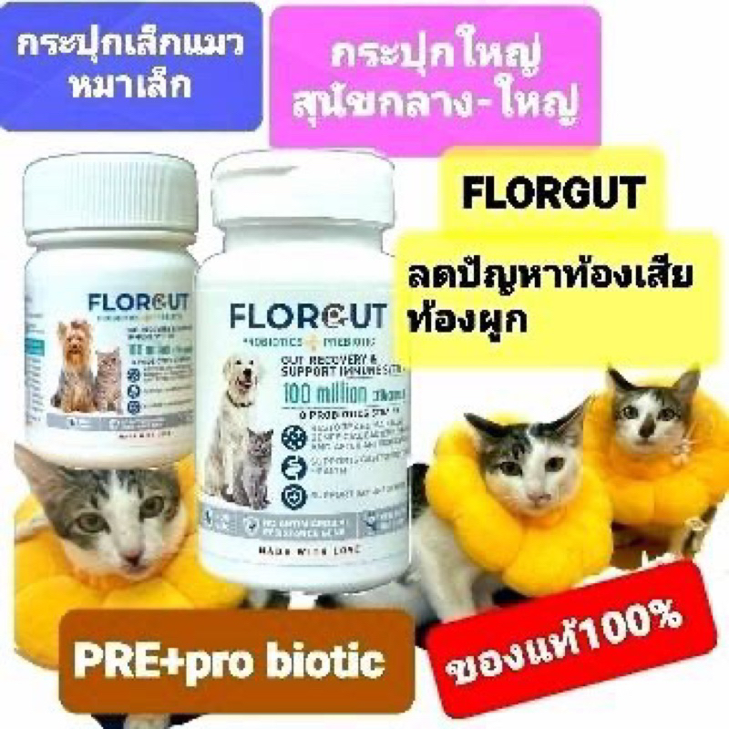 FLORGutโปรไบโอติกแก้ท้องเสียท้องผุกในสุนัขแมว30เม็ด | Shopee Thailand