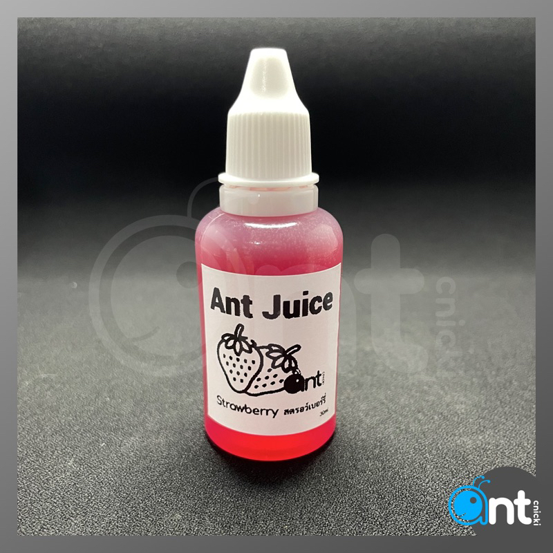 Ant Juice อาหารมด น้ำหวานสำหรับมด อาหารมดนักล่า หนอนนก | Shopee Thailand