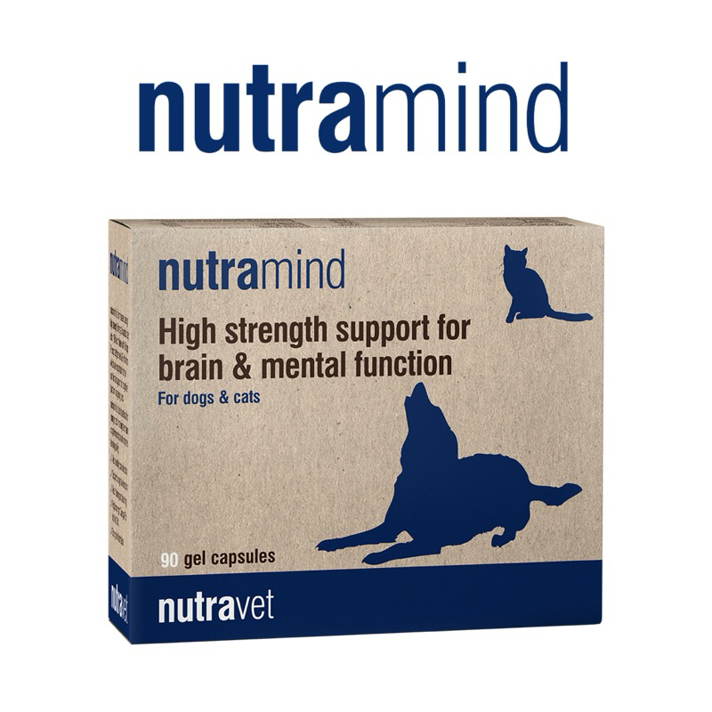 Nutramind 🚩แท้💯ฉลากไทย🇹🇭อาหารเสริมบำรุงสมองและประสาทสุนัขและแมว ...
