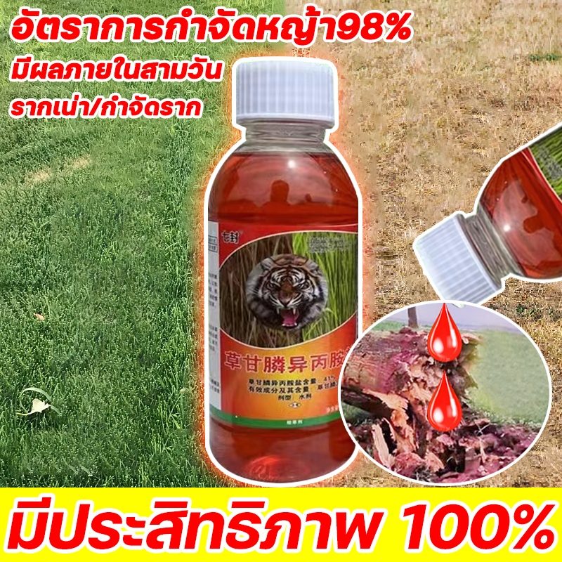 Lazy sheep ยาฆ่าต้นไม้ ยาฆ่ากอไผ่ กำจัดต้นไม้และไม้ไผ่โดยสิ้นเชิง ไม่ ...