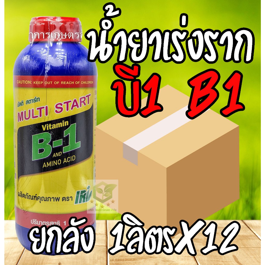 //ยกลัง12ขวด// B-1 บี-วัน ยาเร่งราก ขนาด 1,000 ml. น้ำยาเร่งราก B1 บี-1 บี เร่งราก ราก B1 บี1 บี ...