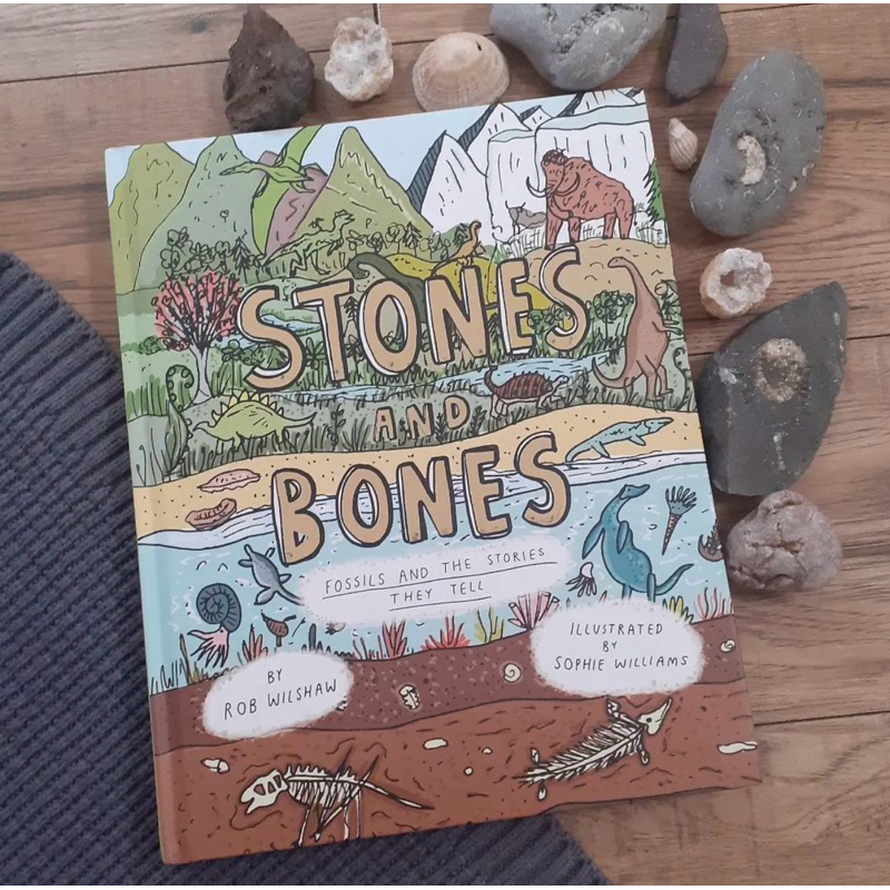 Stones and Bones: Fossils and the stories they tell | Shopee Thailand