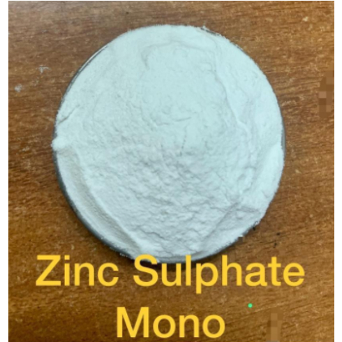 ZnSO4.H2O Zinc Sulphate monohydrate ซิงค์ซัลเฟต เกรดอุตสาหกรรม (ประกอบ ...