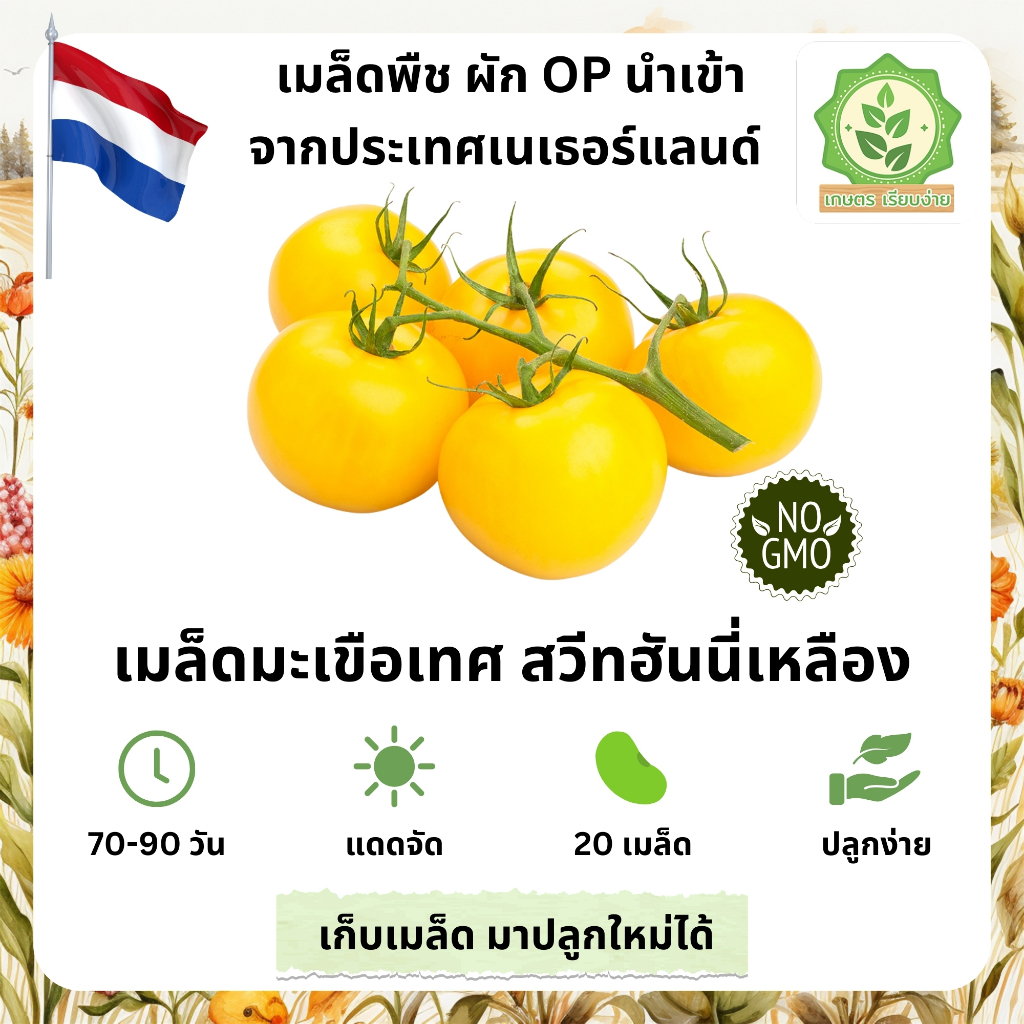 เมล็ดพันธุ์รวมผักต่างๆ มะเขือเทศ สวีทฮันนี่เหลือง (Honey Delight tomato ...