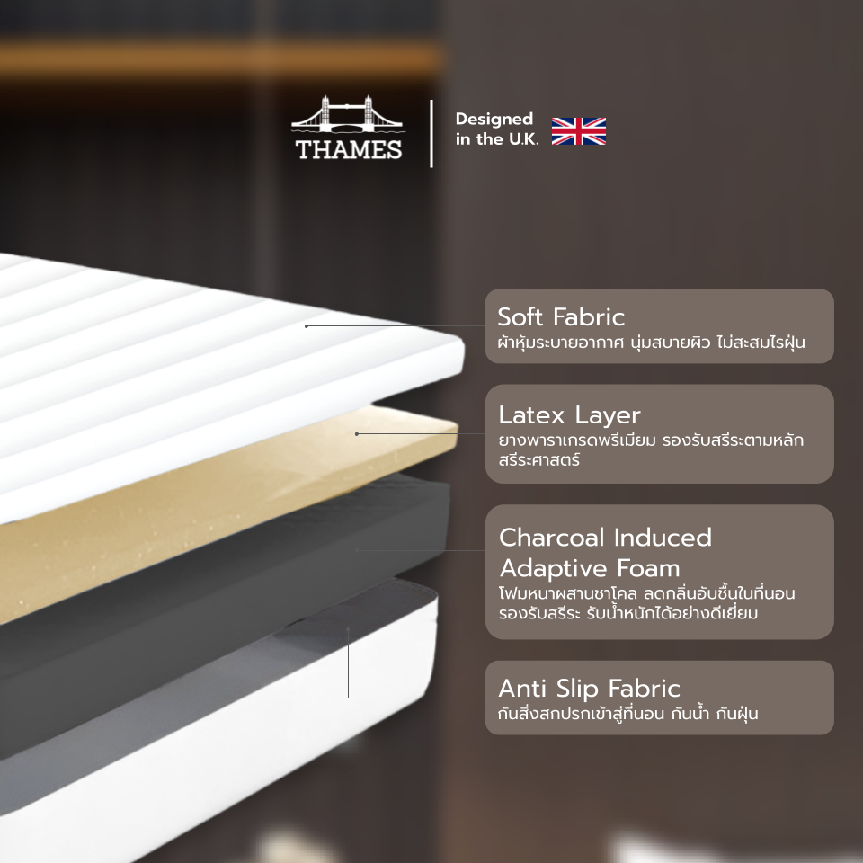 [รับประกัน 10 ปี] Thames ที่นอนยางพาราแท้ รุ่น Analea หนา 6 นิ้ว [อัด ...