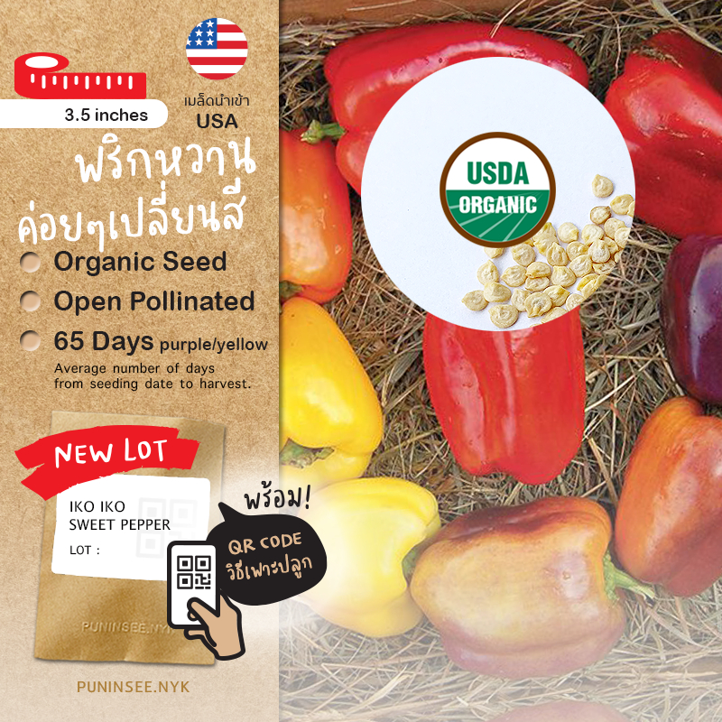 เมล็ดผักนำเข้า พริกหวานหลากสี Iko Iko Rainbow Sweet Bell Pepper ...