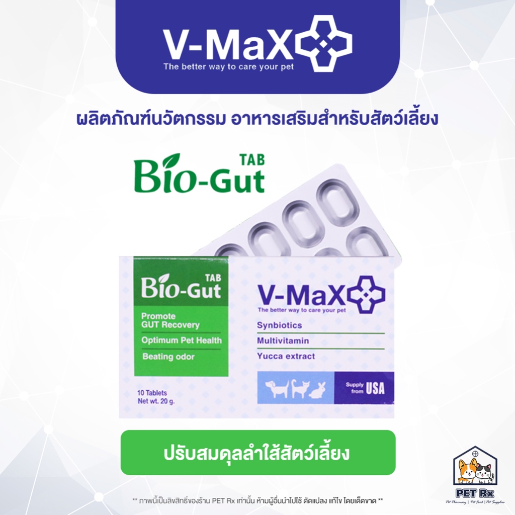V-MaX: Bio-Gut / Veron TAB [แท้💯] อาหารเสริมปรับสมดุลทางเดินอาหาร ...