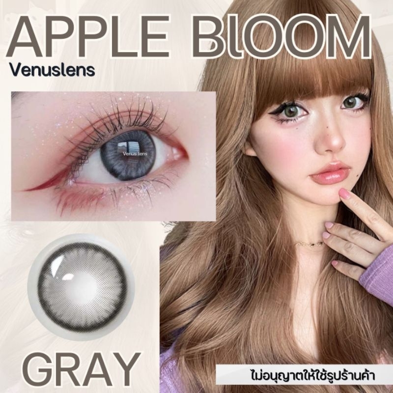 คอนแทคเลนส์ Apple bloom : Gray / ยี่ห้อ Luxzy lens ( ค่าสายตา 50 - 600 ...
