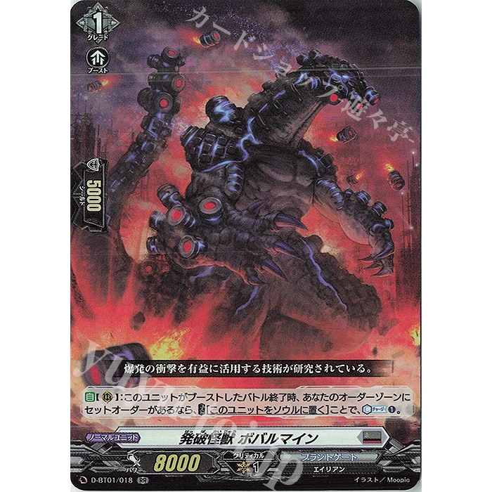 Vanguard D-BT01 RR แยกใบ | Shopee Thailand