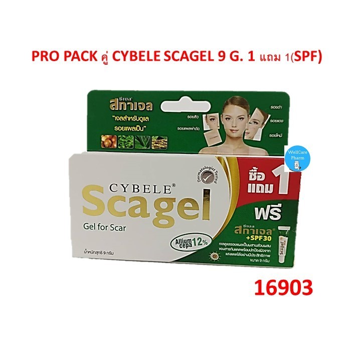 Cybele Scagel 4g/9g/19g แบบกล่อง | Shopee Thailand