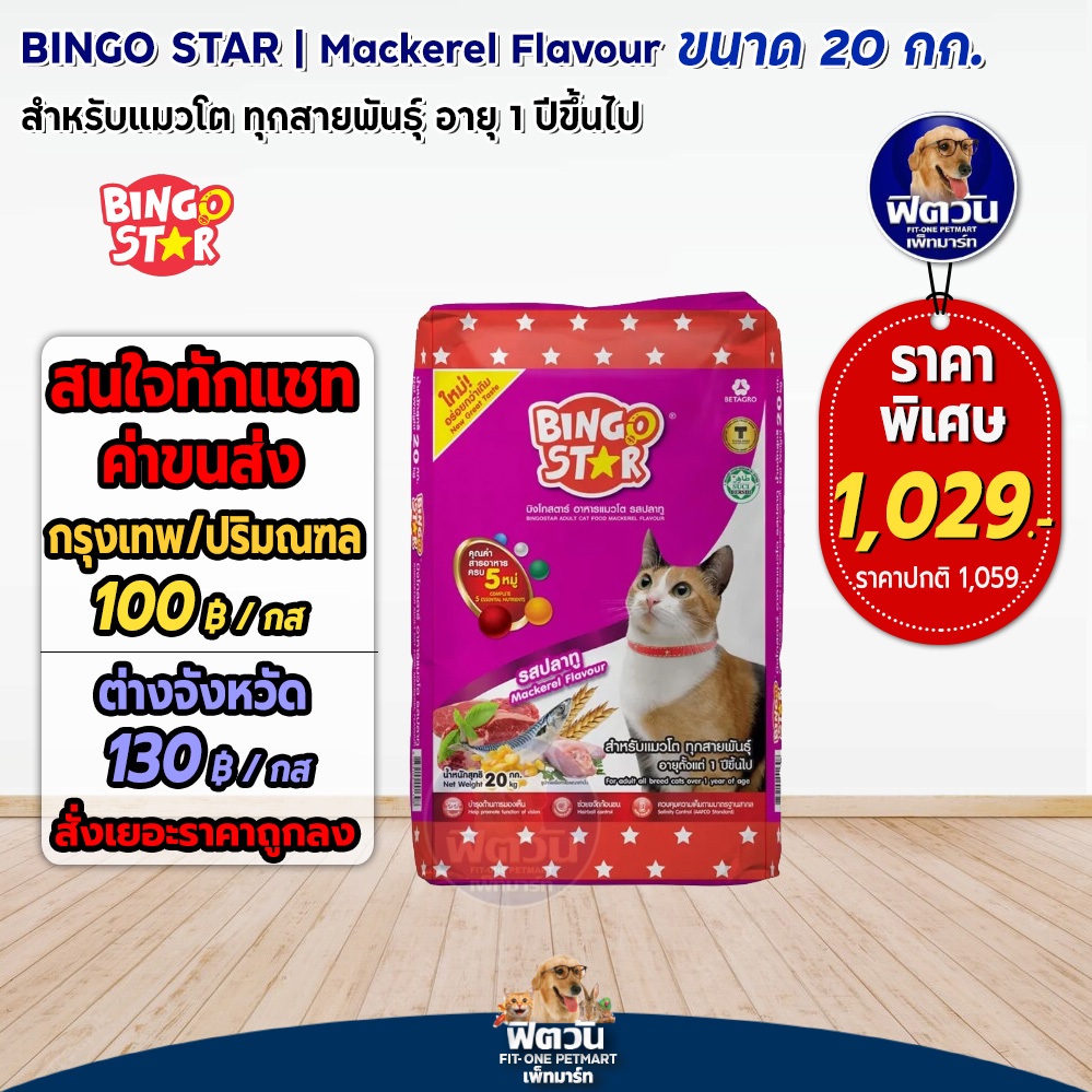 BINGO STAR Mackerrel Flavour(Adult) อาหารแมวโตอายุ1ปีขึ้นไป รสปลาทู 20 ...