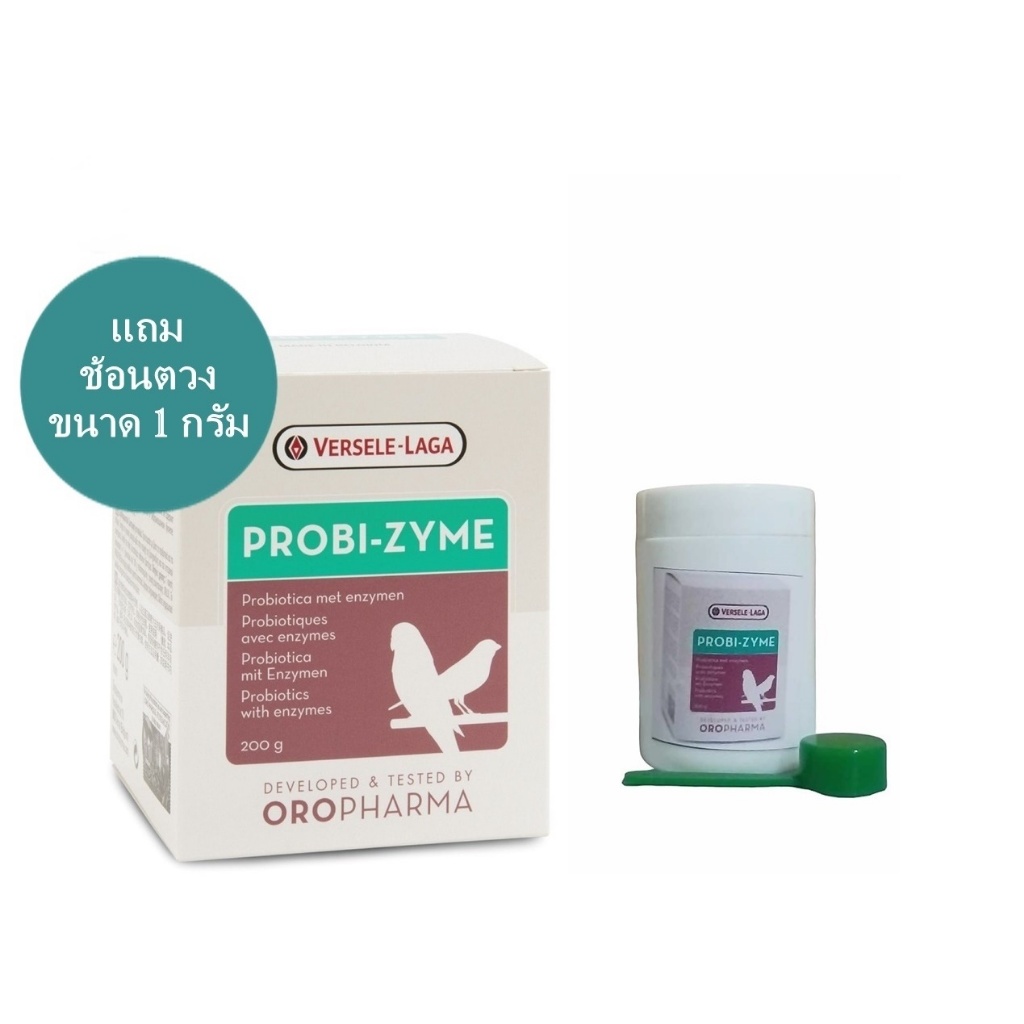 Probi-Zyme ( แบ่ง ) เพิ่มความสามารถในการบดย่อยอาหาร ปรับสภาพลำใส้ มี 3 ขนาดให้เลือก | Shopee ...