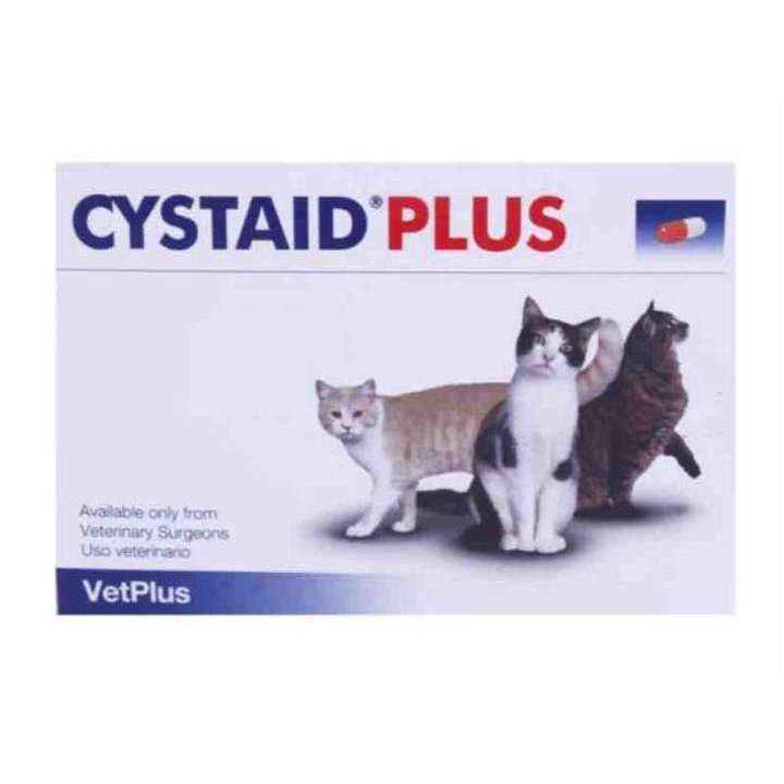 Cystaid plus 30 แคปซูล อาหารเสริมโปรตีนเสริมความแข็งแรงของกระเพาะ ...