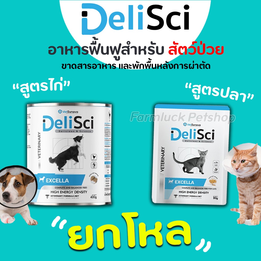 (ยกโหล) DeliSci Excella อาหารสำหรับแมว-สุนัขป่วย หลังผ่าตัดหรือกำลังพัก ...