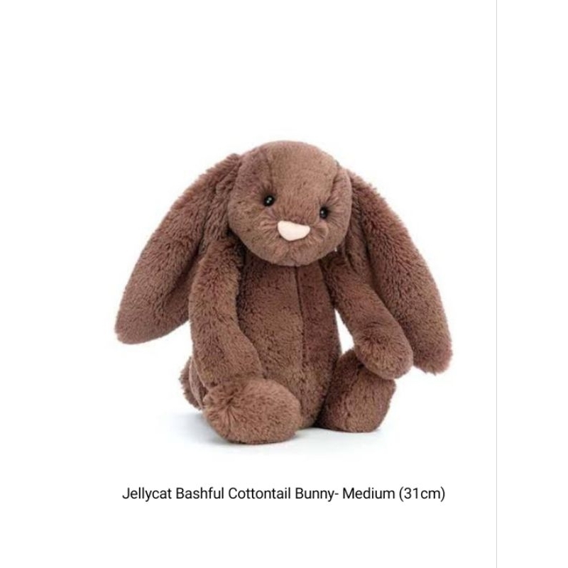 Jellycat Bashful Fudge Bunny - Medium (31cm) | Shopee Thailand