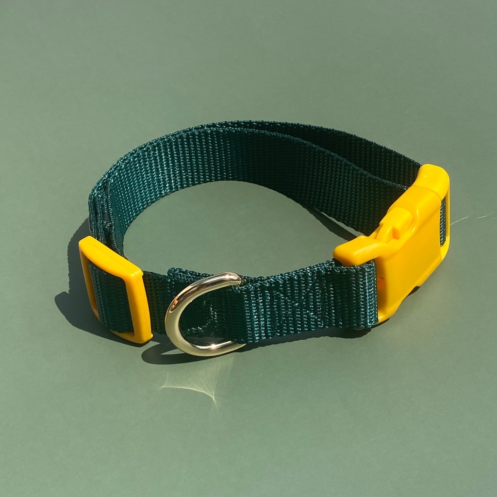ปลอกคอสุนัข Human and Hound รุ่น Quick Snap Collar! - Spring Park ...