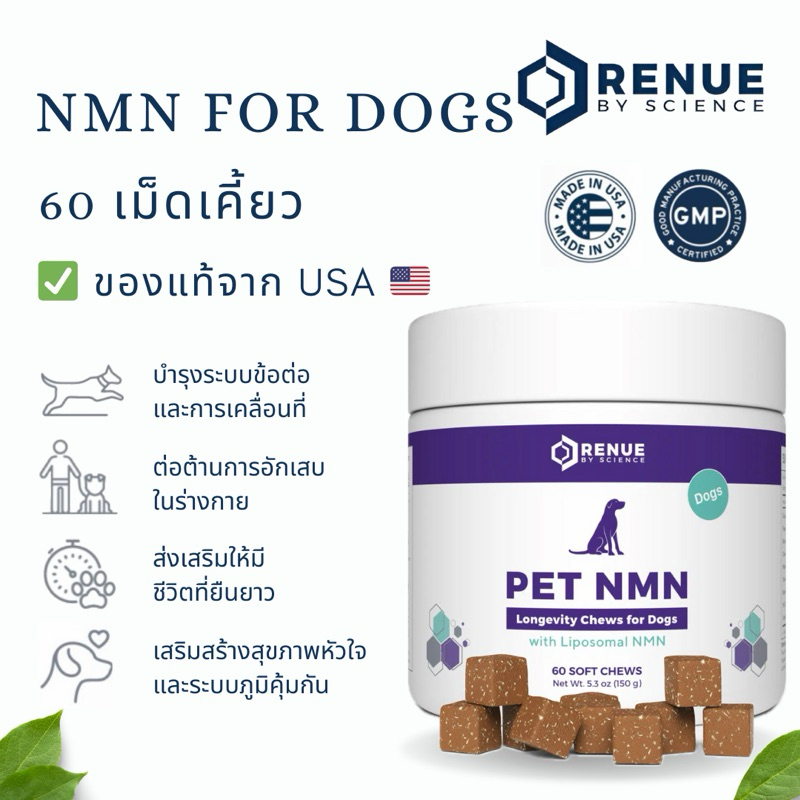 NMN For Dogs (60 เม็ด) อาหารเสริมชะลอวัยสำหรับสุนัข เพื่อชีวิตที่ยืนยาว ...