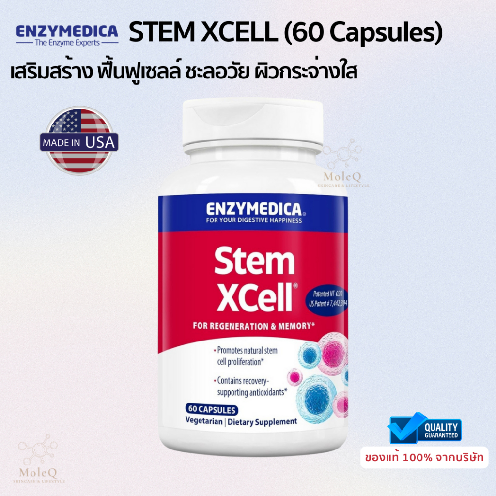 Enzymedica Stem XCell 60 Capsules อาหารเสริมสเต็มเซลล์ ชะลอวัย | Shopee ...