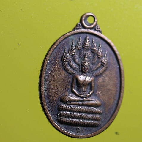 PP09---เหรียญนาคปรกรุ่นแรกหลวงพ่อประสิทธิ์ ปุญญมากโร วัดป่าหมู่ใหม่ ปี ...