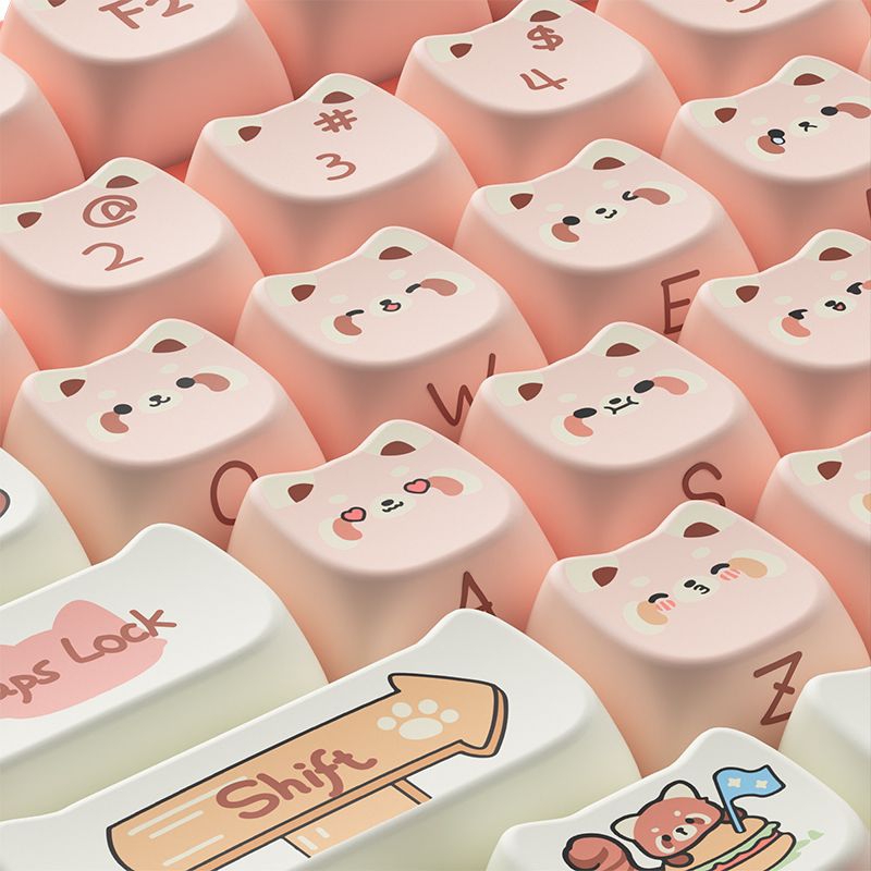 คีย์แคป Akko Raccoon & Panda MAO Keycap Set (142Keys) | Shopee Thailand