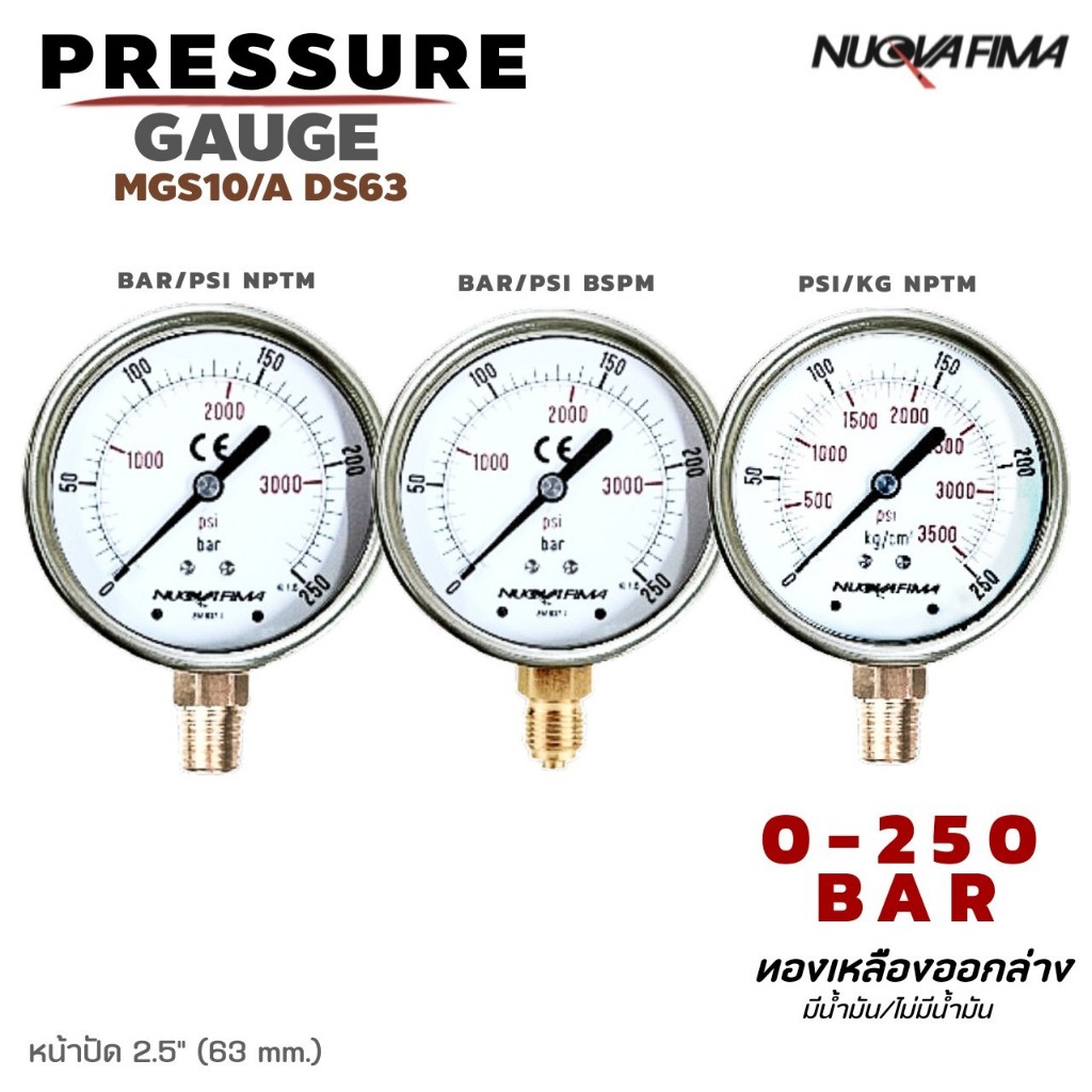 MGS10/A DS63 0-250 BAR/PSI,PSI/KG เกจวัดเเรงดัน 1/4" BSPM & NPTM มี ...