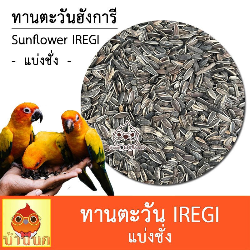 ทานตะวัน ฮังการี Iregi แบ่งชั่ง (Roland) อาหารนก แฮมสเตอร์ นกแก้ว ซัน ...