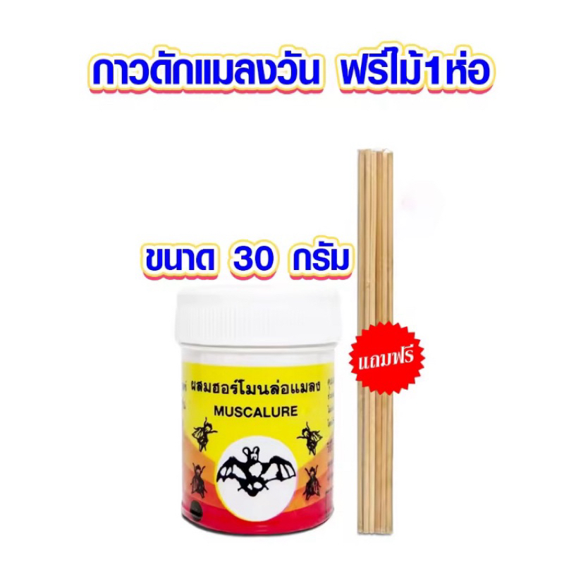 1กป.กาวดักแมลงวัน กาววิทยาศาสตร์ ดักจับแมลงวันตราค้างคาว ผสมฮอร์โมนล่อ ...
