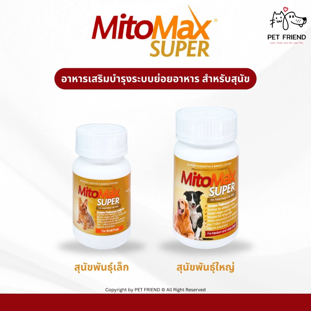 Mitomax Super 🐶🐱 (Probiotic + Prebiotic) อาหารเสริมบำรุงระบบย่อยอาหาร ...