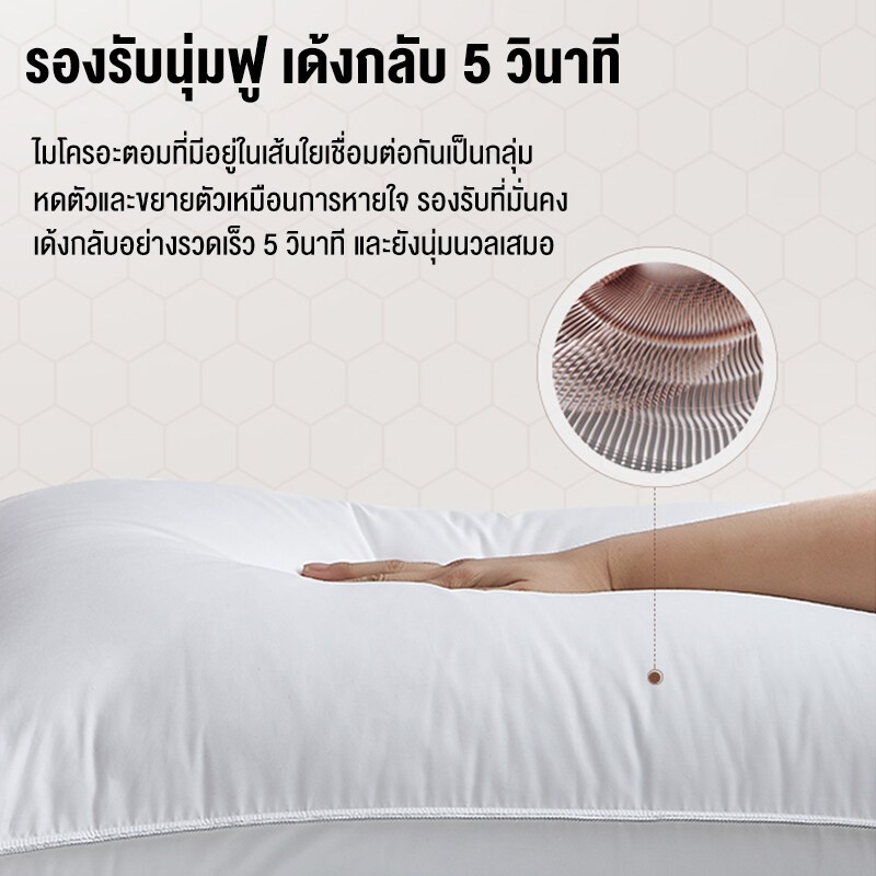 หมอนโรงแรม 5 ดาวHilton เนื้อนุ่มไม่จับตัวเป็นก้อน เพื่อสุขภาพ นอนสบาย(ฮิลตัน มี 3 ระดับให้เลือก ...