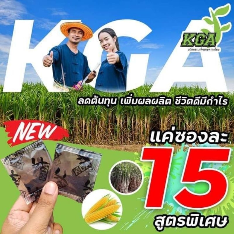 ผงดำ KGA สารเสริมประสิทธิภาพปุ๋ยกึ่งฮอร์โมน | Shopee Thailand