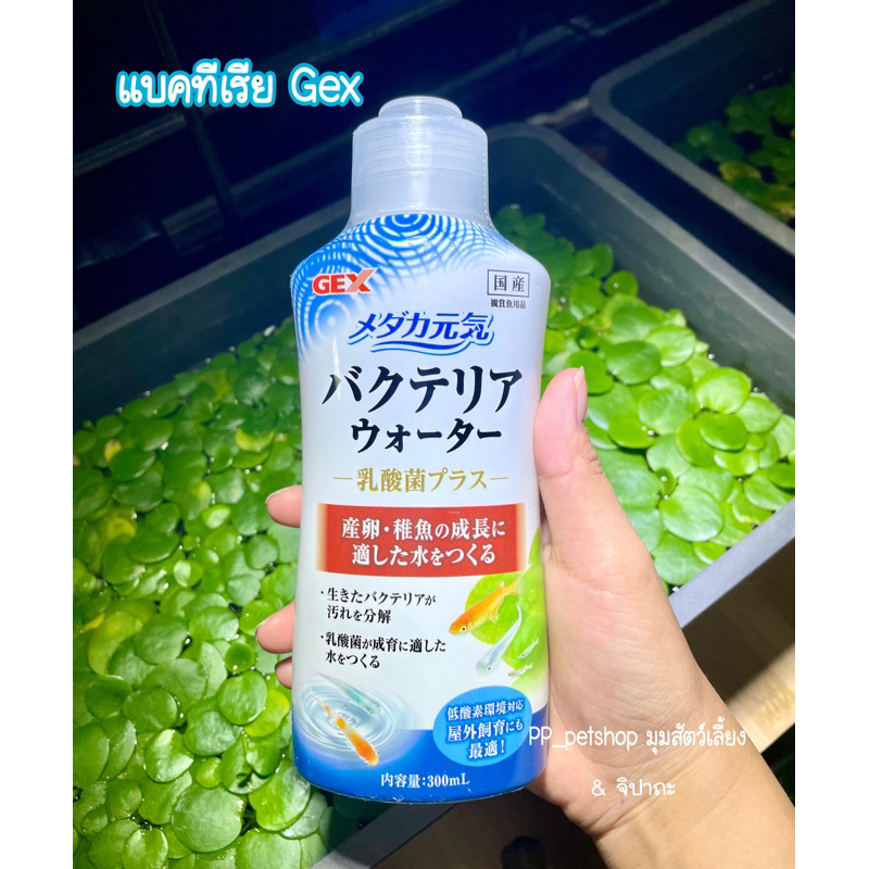 แบคทีเรีย gex เลี้ยงปลาเมดากะจากญี่ปุ่น : แบ่ง ขนาด 30 ml | Shopee Thailand