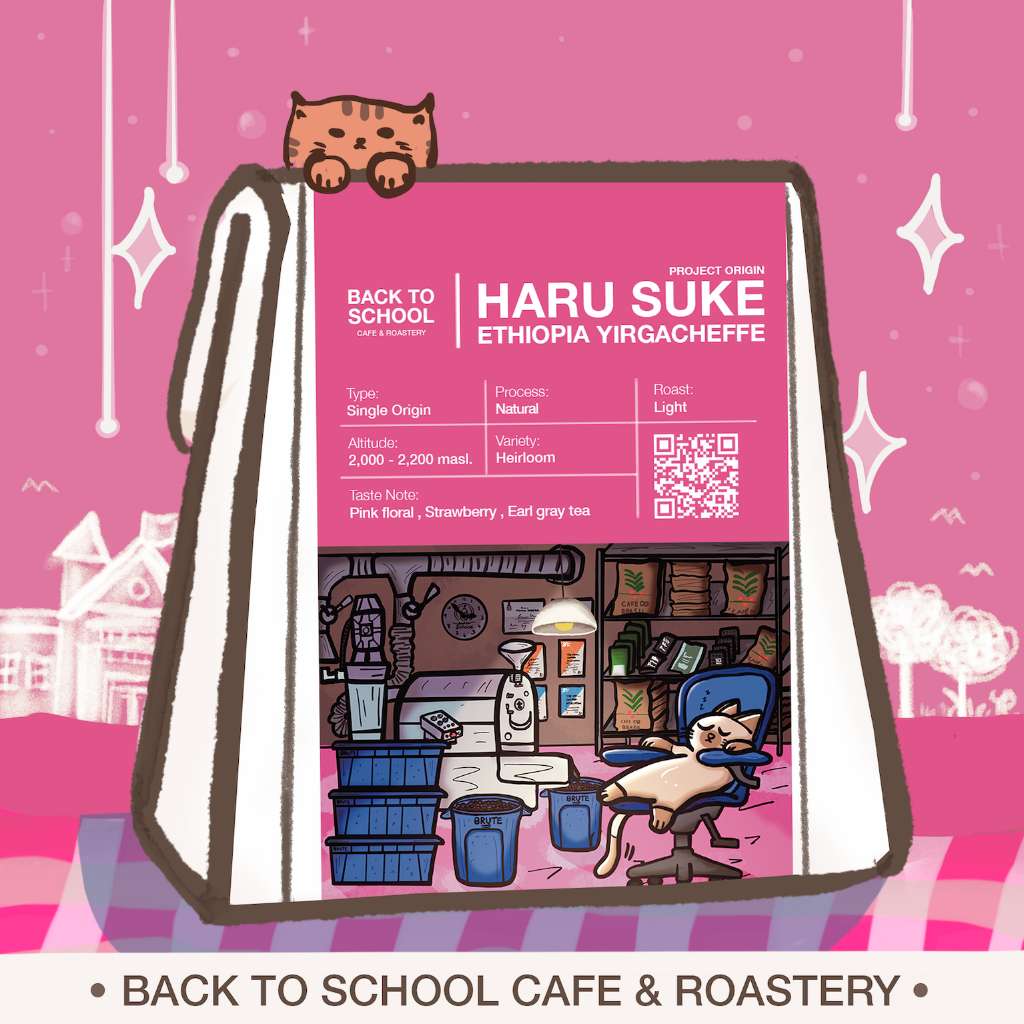 เมล็ดกาแฟคั่ว Ethiopia Yirgacheffe Haru Suke (Natural) - Light Roast ...