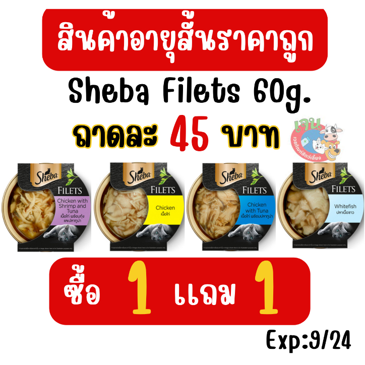 Sheba Filets 60g.ซื้อ 1เเถม 1 Exp:9/24 | Shopee Thailand