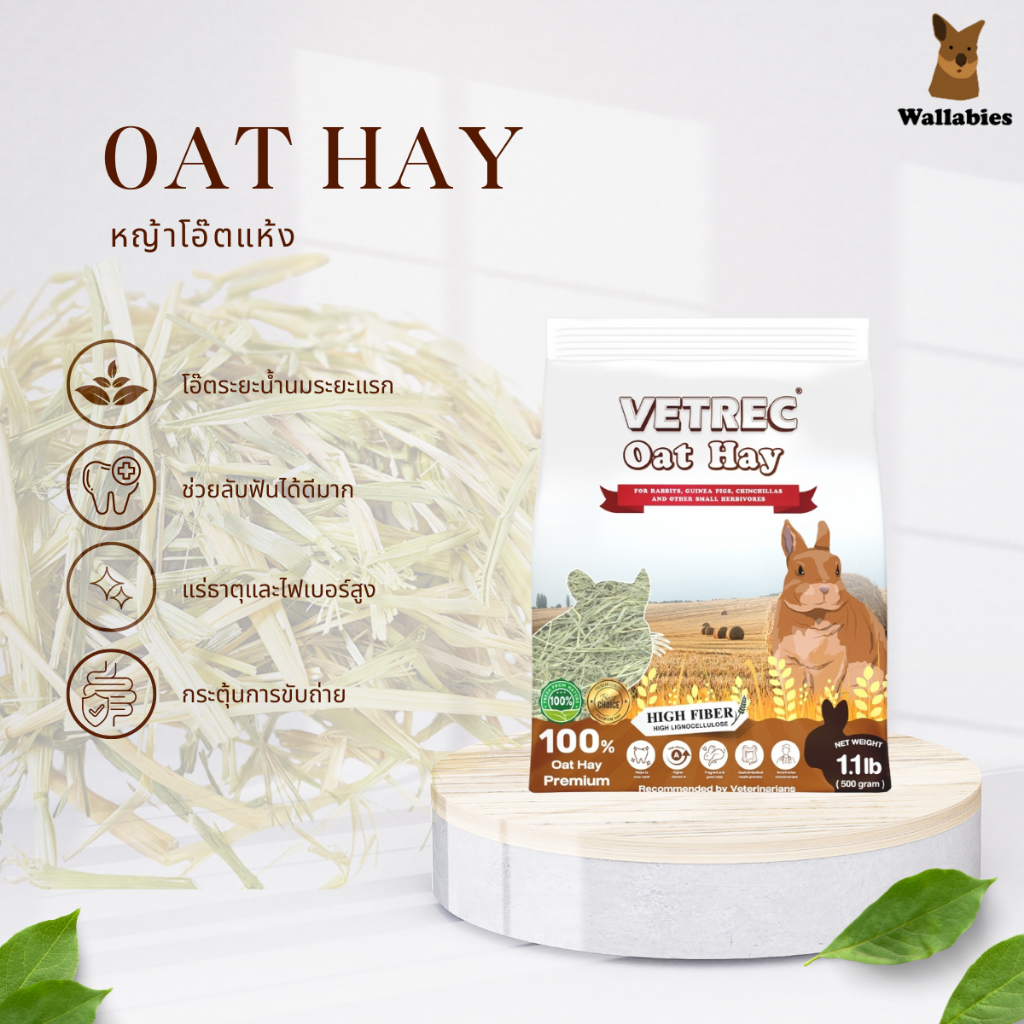 Vetrec Oat Hay 500g หญ้าโอ๊ตสดใหม่ นำเข้าจากออสเตรเลีย จำนวน 1 ถุง | Shopee Thailand