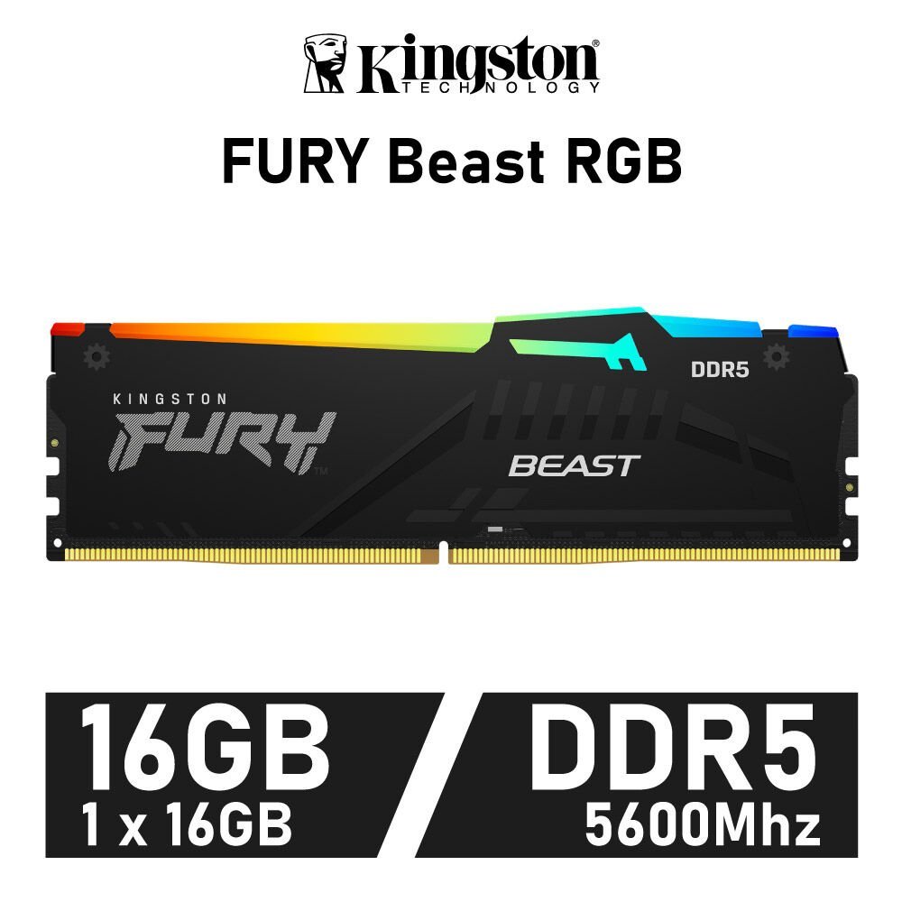 16GB (16GBx1) DDR5 5600MHz RAM (แรมพีซี) KINGSTON FURY BEAST DDR5 RGB (KF556C40BBA-16) | Shopee ...