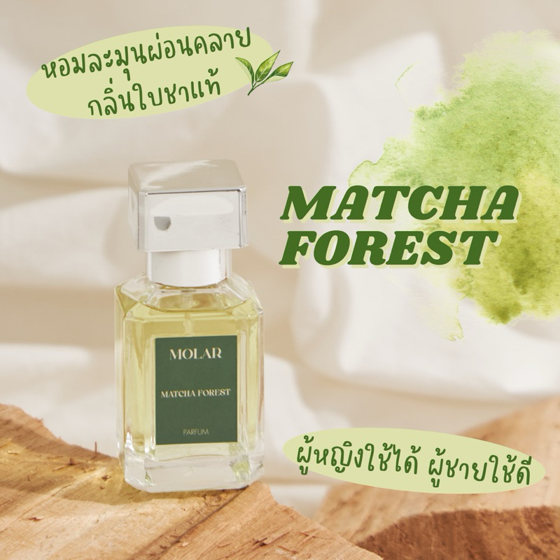 น้ำหอม MOLAR กลิ่น Matcha Forest 30 ml โมลาร์ กลิ่นชาเขียว มัทฉะ Green ...